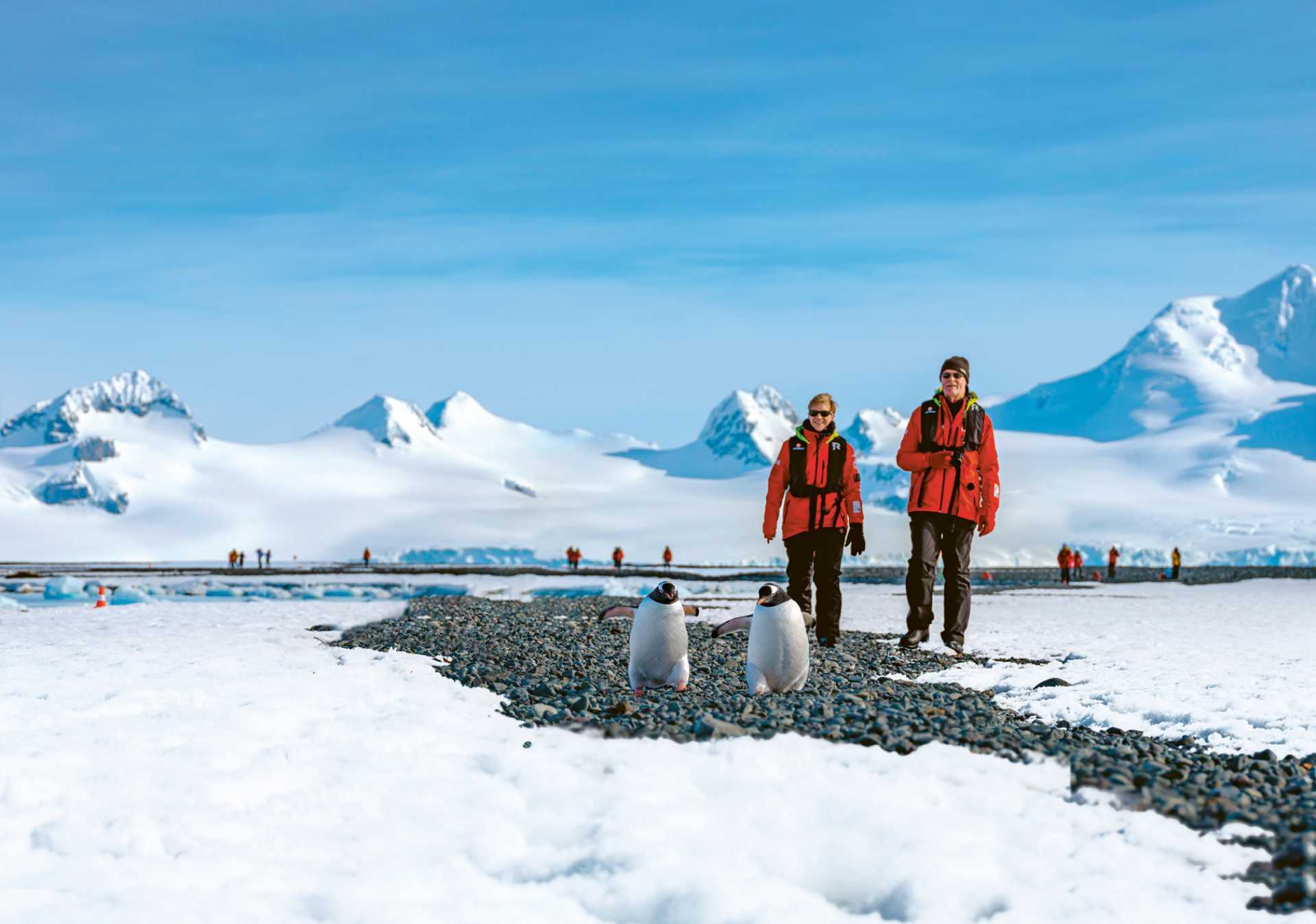 Bucket List Guides: Antarctica | Square Mile