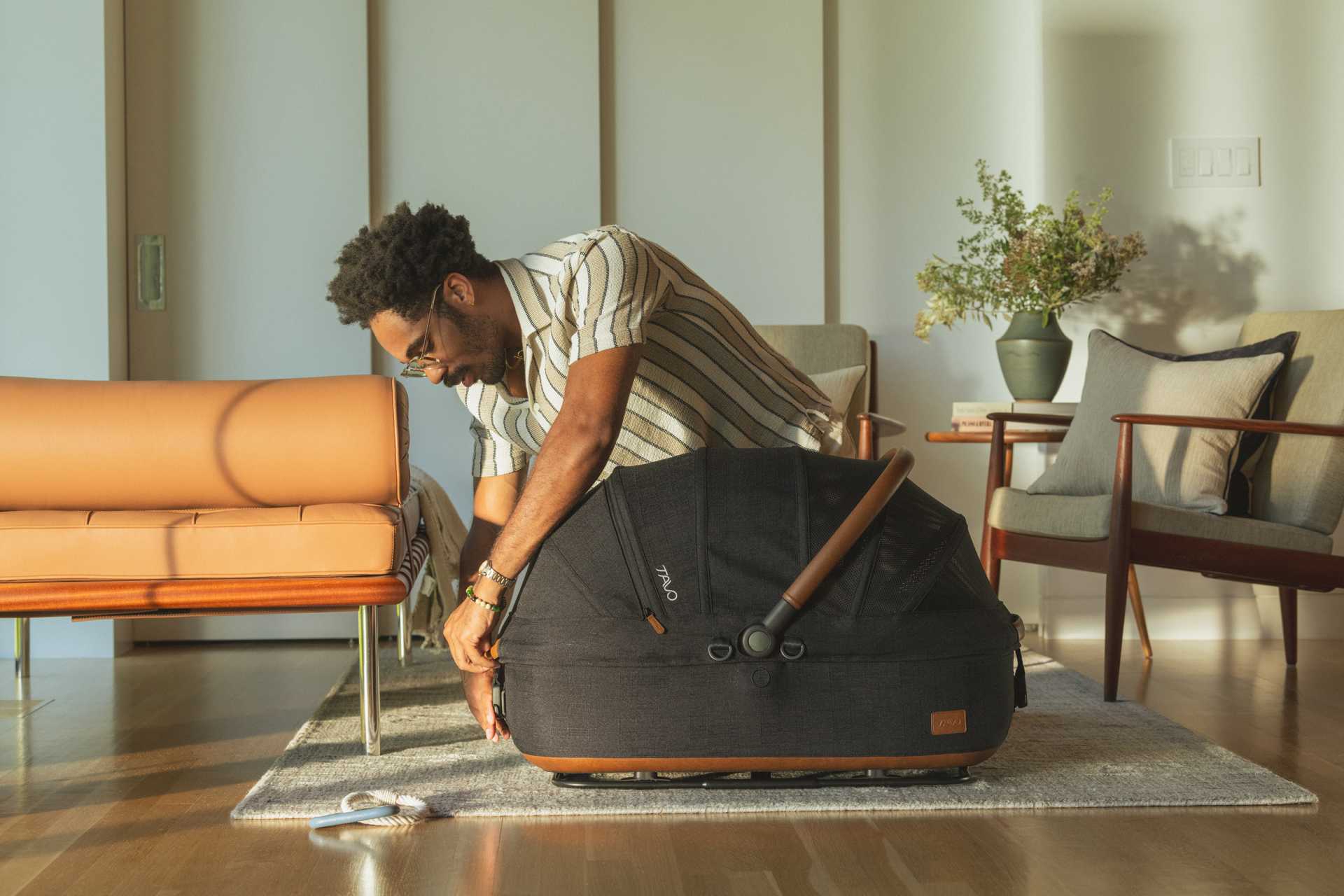 Introducing Tavo: pet protection reimagined | Square Mile