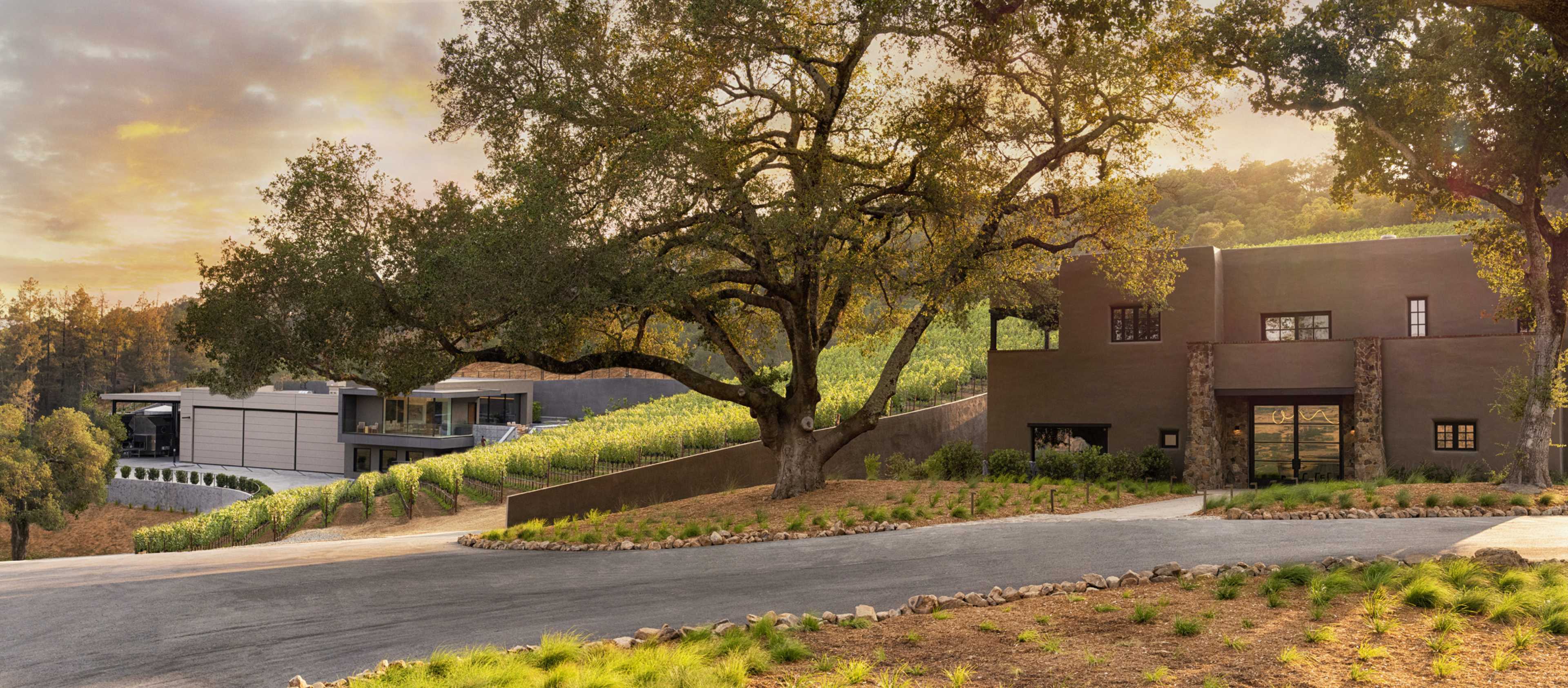 Scott Becker, Founder, Realm Cellars | Square Mile