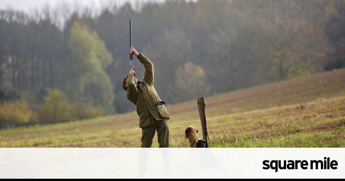 Win a day's shooting at Salperton Park with Ian Coley Sporting | Square ...