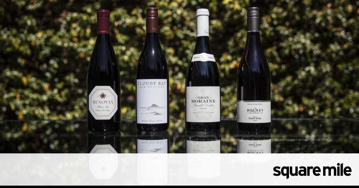Wine of the Week | Pinot noir | Square Mile