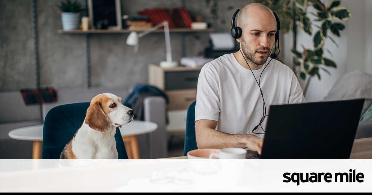 Nine tips for mastering remote working | Square Mile