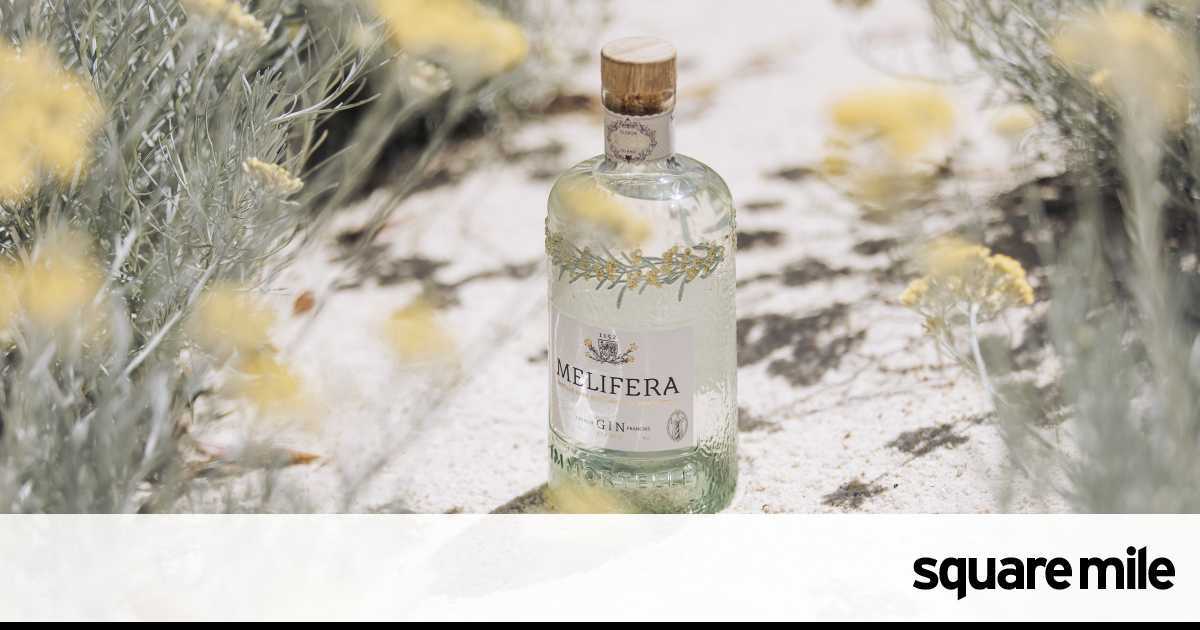 Win two bottles of Melifera gin | Competition | Square Mile
