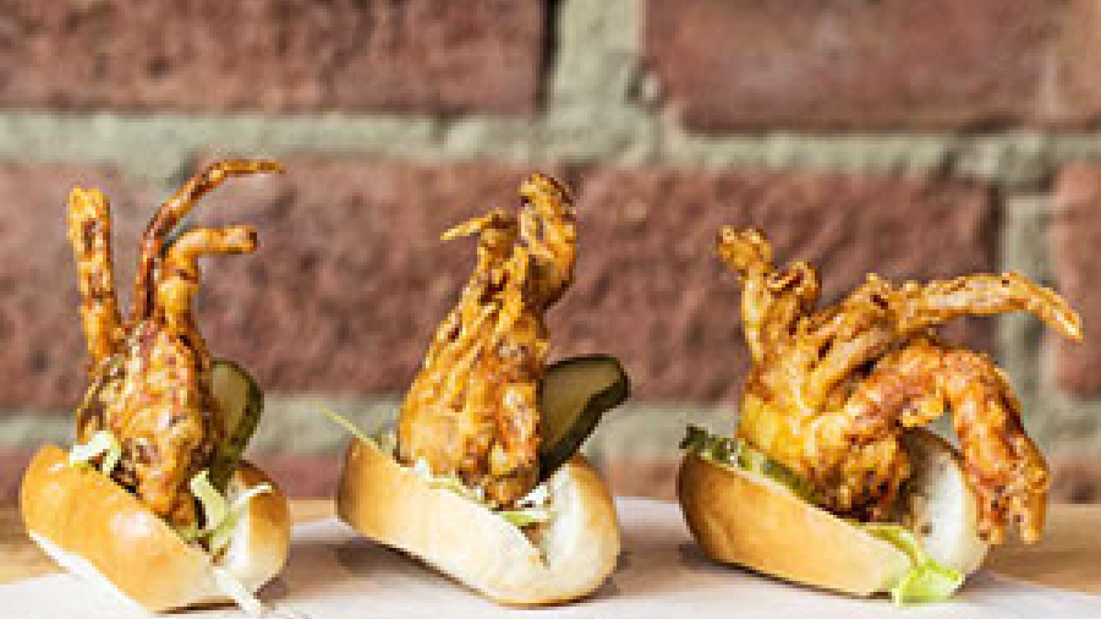 Slider Decider 2016 – London’s best bun fight | Events | Square Mile