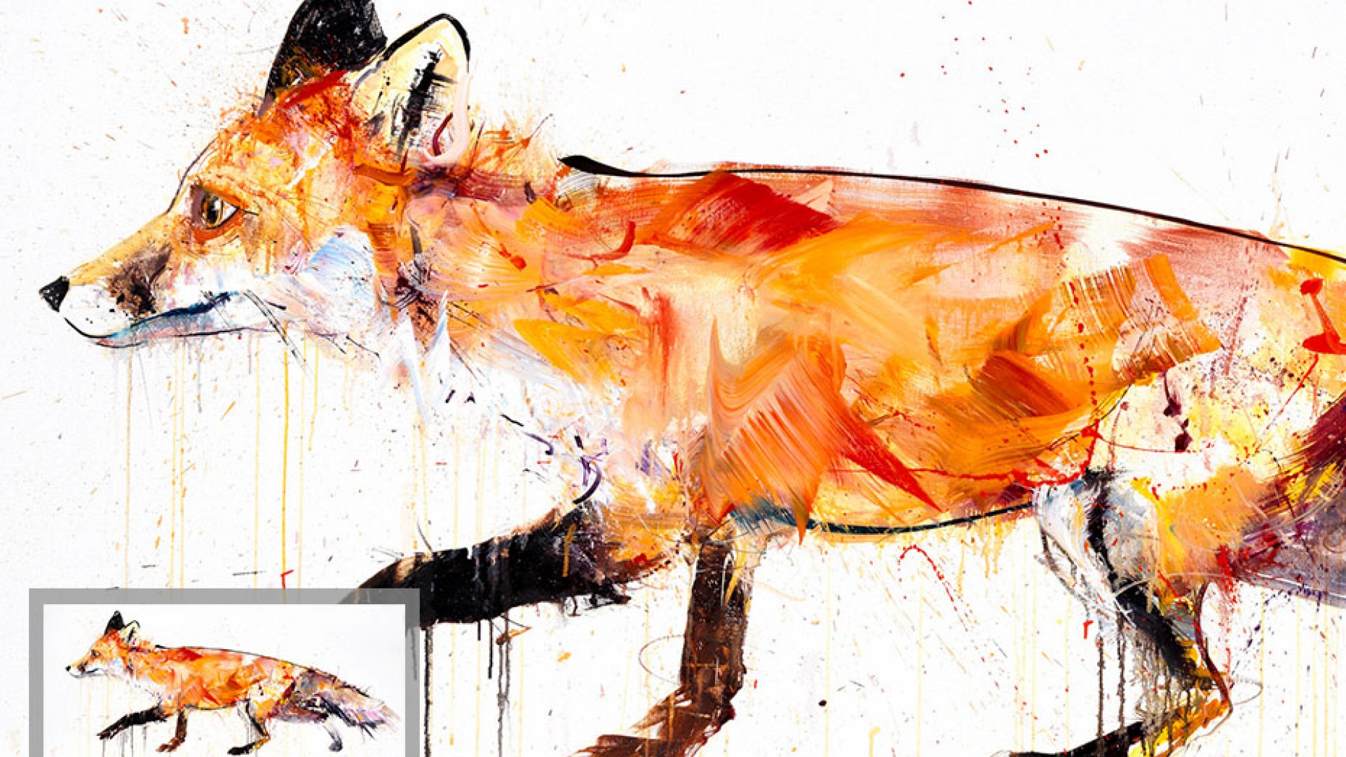 Dave White – Albion | Square Mile