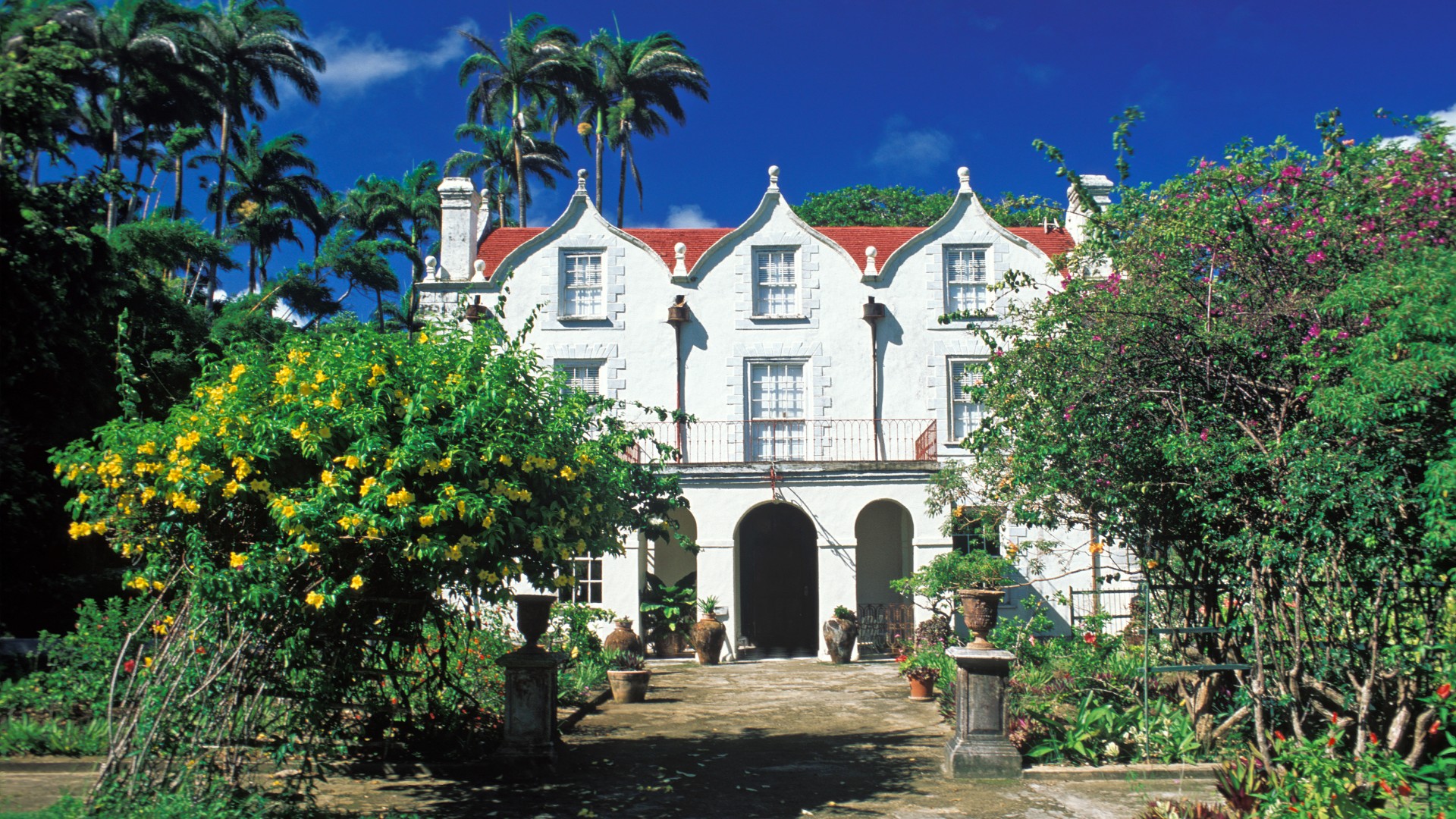 A celebration of Barbados, the Caribbean capital of rum | Square Mile
