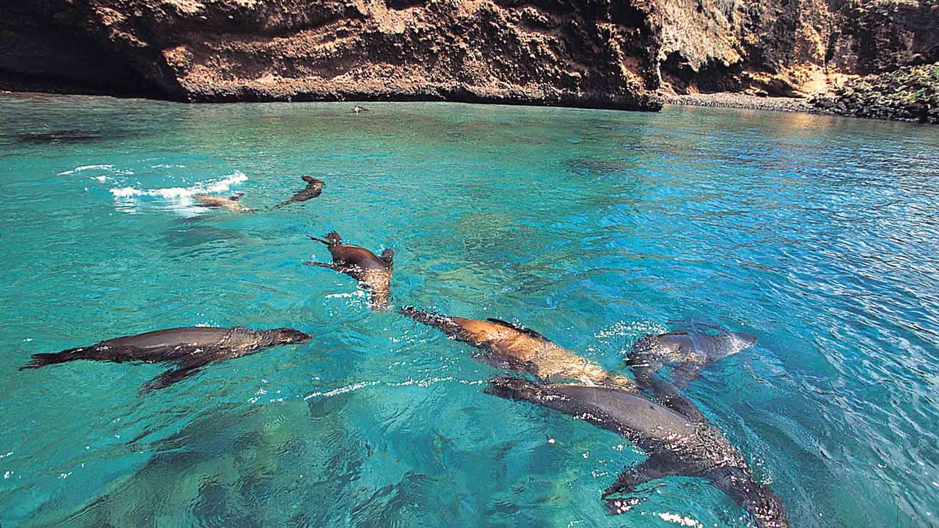 Discovering Darwin's Galapagos islands | Square Mile