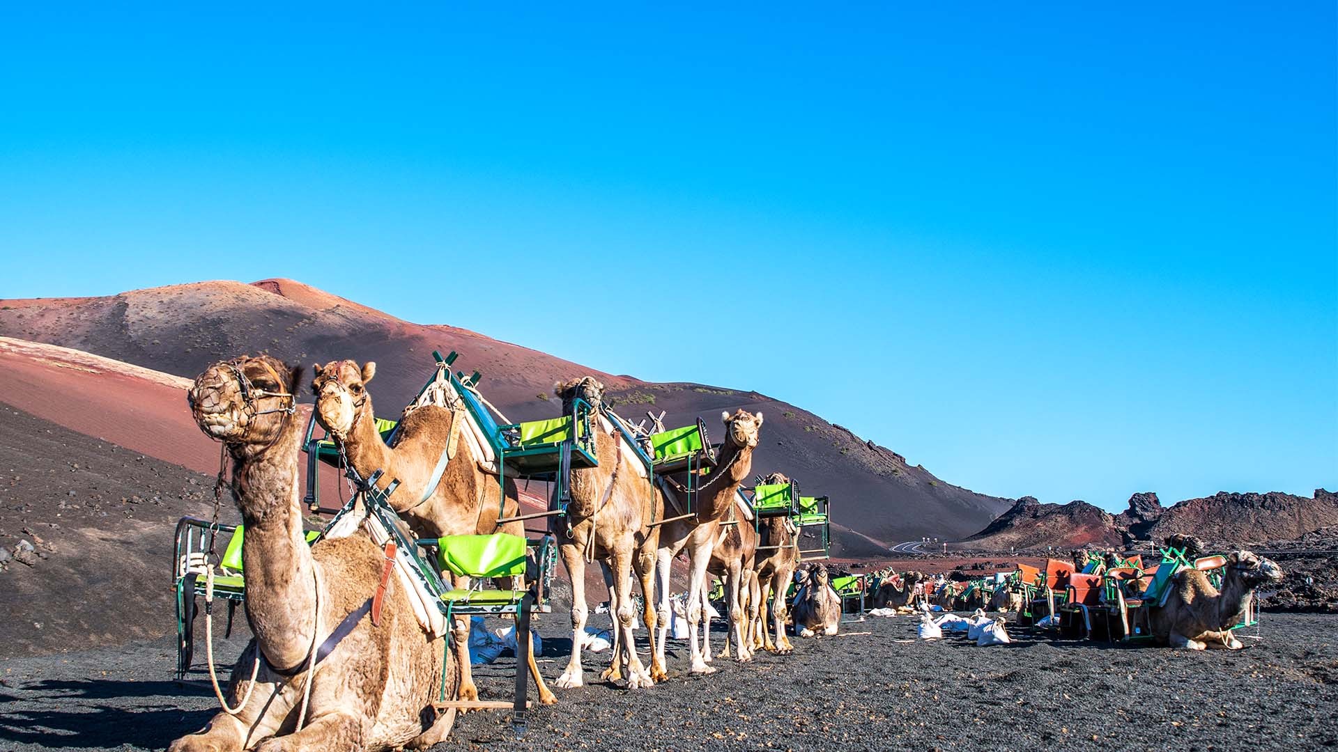 Lanzarote travel guide – the best places to visit in Lanzarote | Square ...