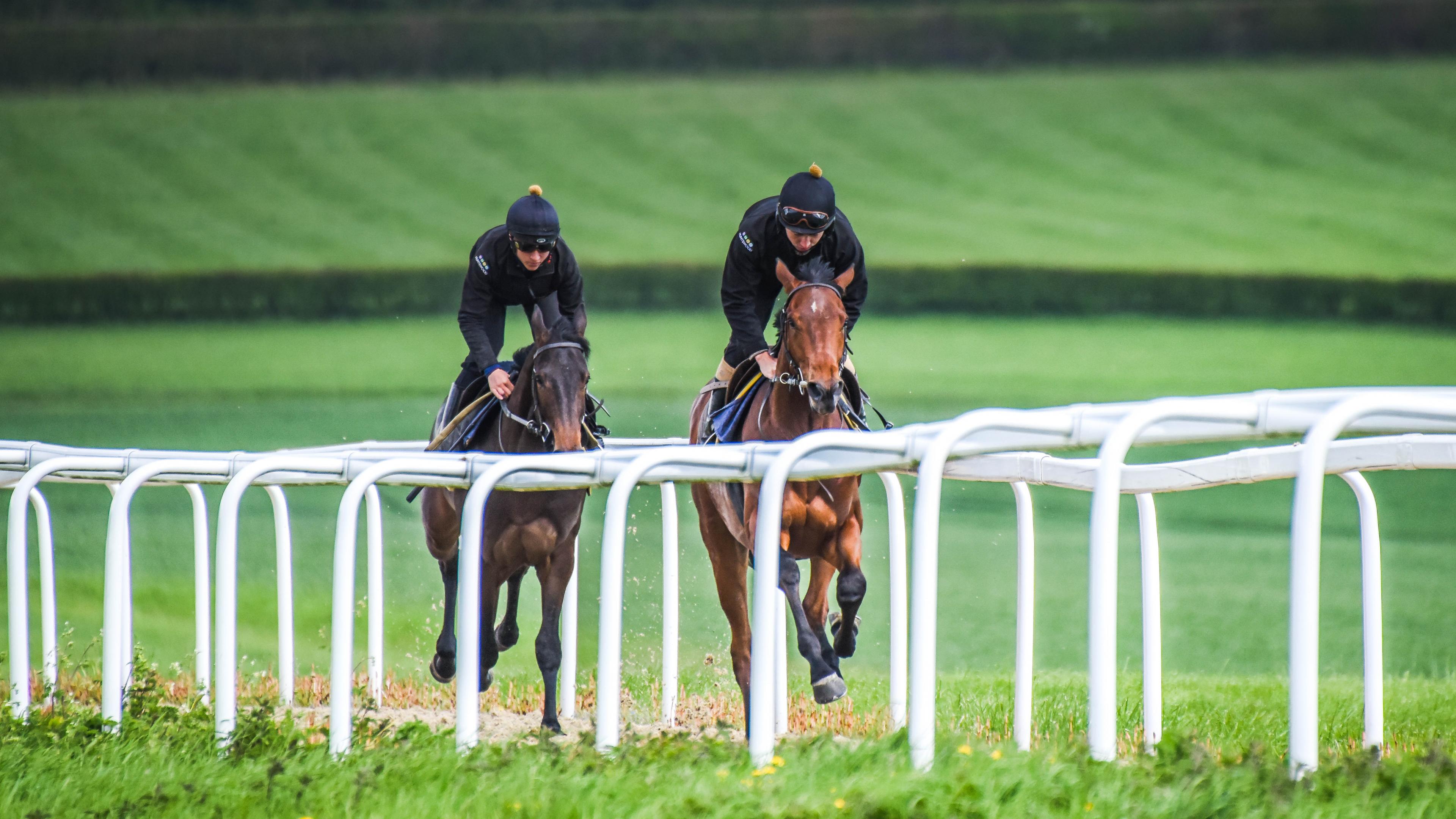 How to train a racehorse | Square Mile