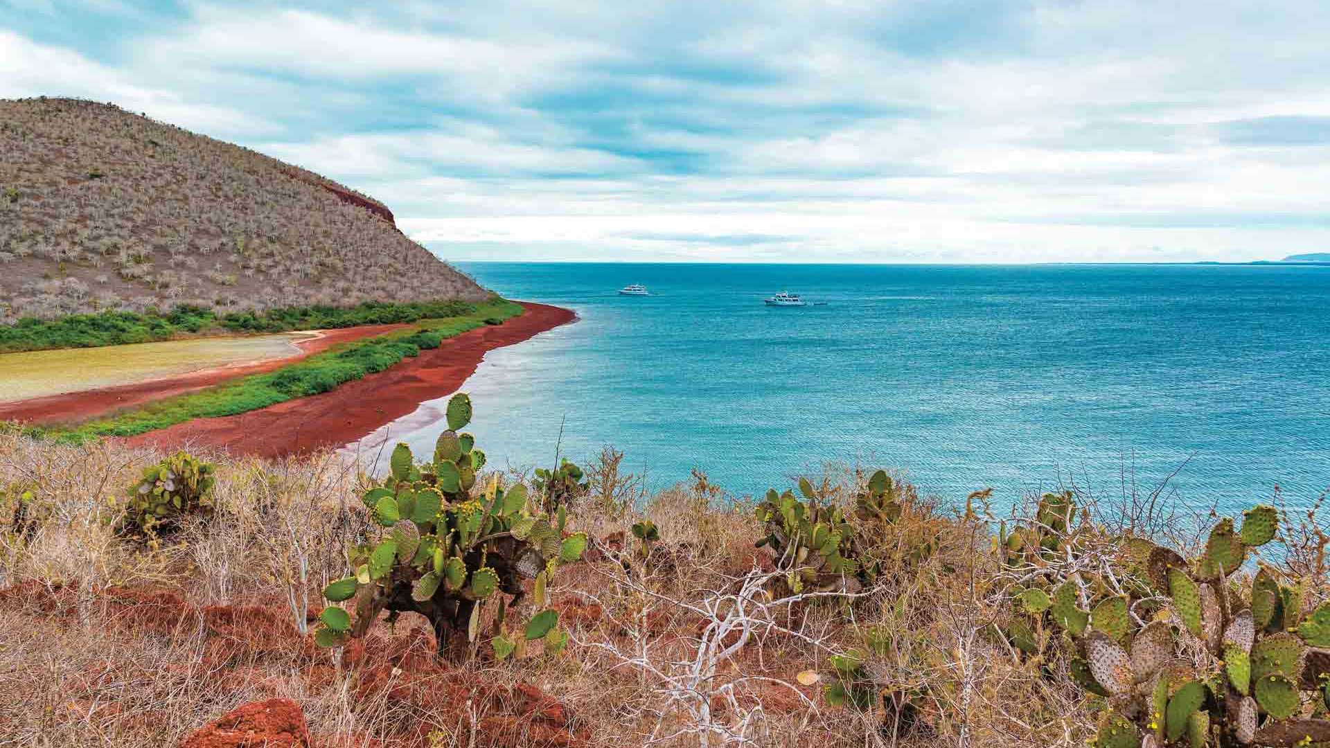 Discovering Darwin's Galapagos islands | Square Mile