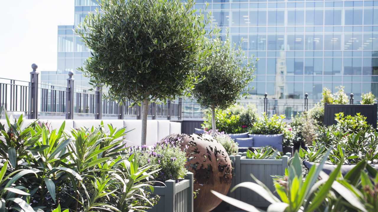 Eight Club is one of the best private member clubs in London | Square Mile